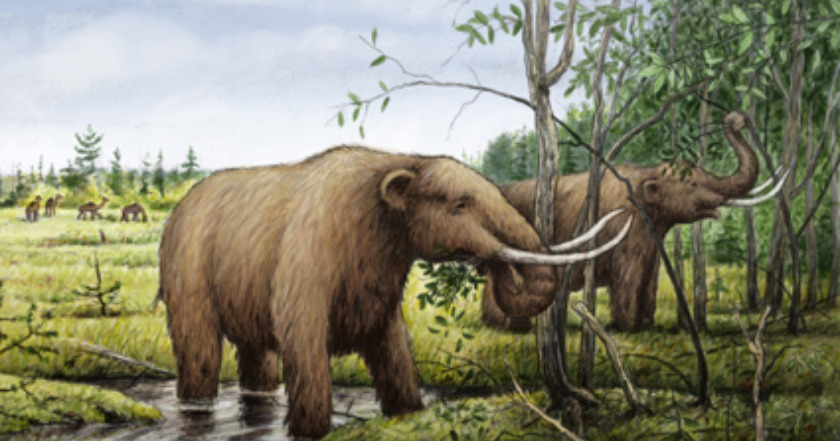 MEGAFAUNA DO PLEISTOCENO - Unicap - Universidade Católica de Pernambuco